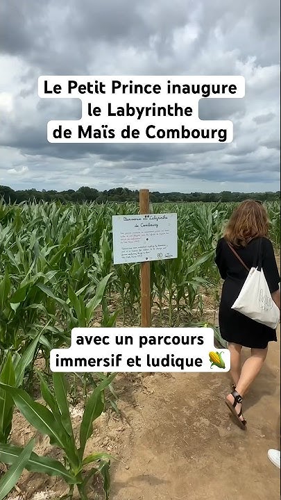 Le labyrinthe de Maïs de Combourg dédié au Petit Prince ! 🌽 #shorts # ...