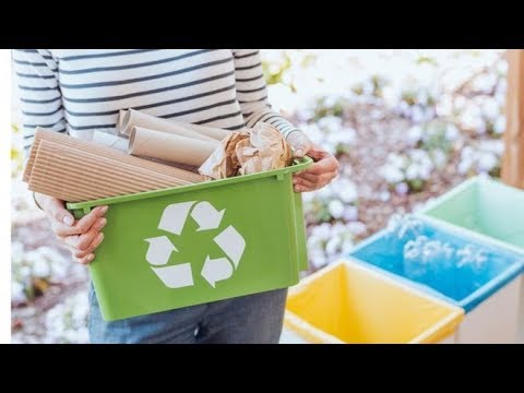 Being Ecological (Philosopher Timothy Morton Interview) - YouTube