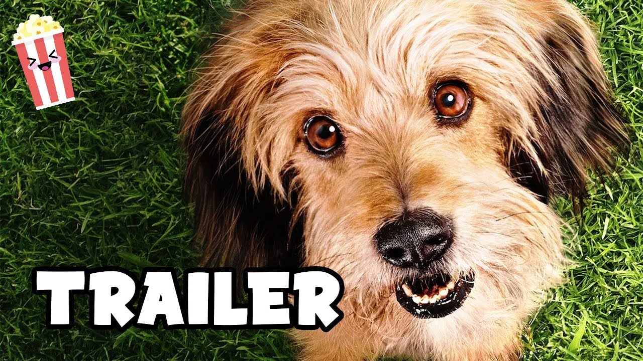 Benji ~ Netflix Trailer ~ Kids' Movie Trailers at pocket.watch - YouTube