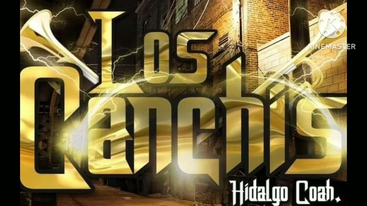 EL TONGONEAITO LOS CANCHIS 2023 - YouTube