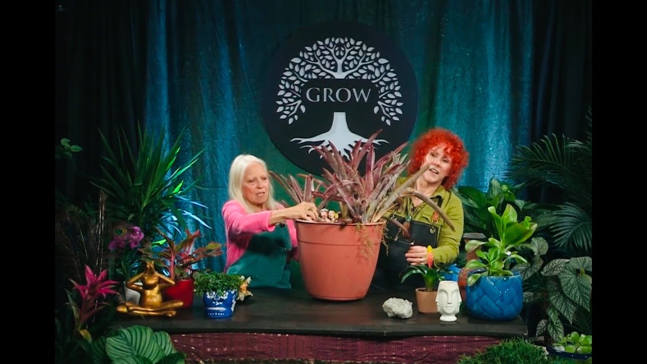 GROW with Special Guest Susie Monick, Host Jenny Anne and The Buds ...