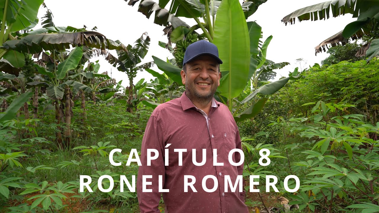 Capítulo 8 Ronel Romero - YouTube