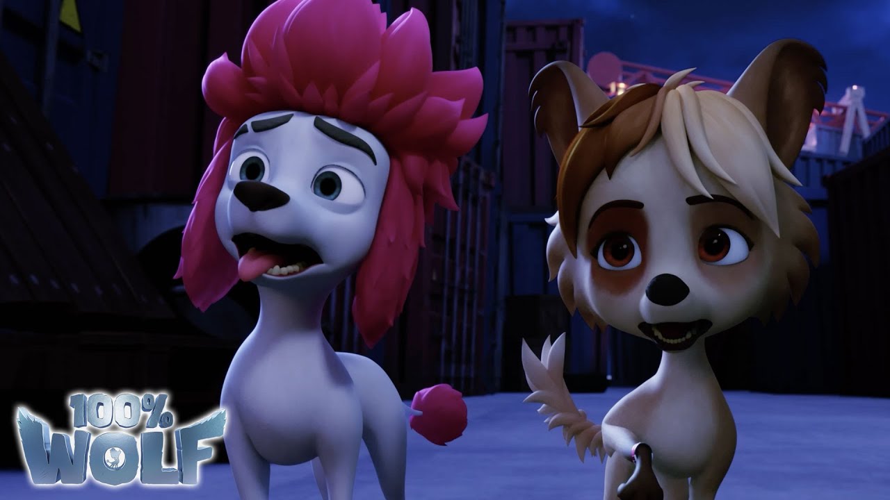 The Search for Something! | Funniest Moments | 100% Wolf🐺🐩 | Cartoons ...