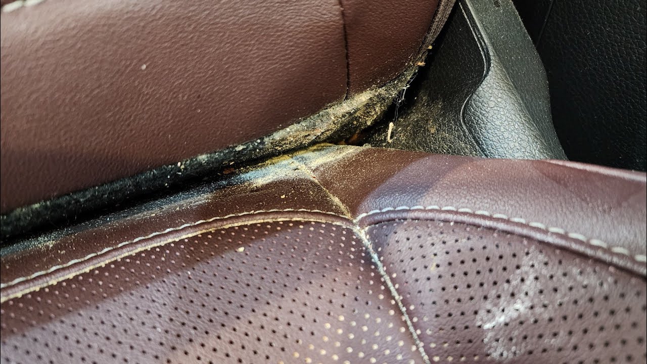 세차이야기 345편 세차위생관리 오래안된차량 세미크리닝 추천합니다 세차와 특수세차 세차위생관리스팀보이초량점세미크리닝 세차의 종류권테크 특수세차 전문시공점