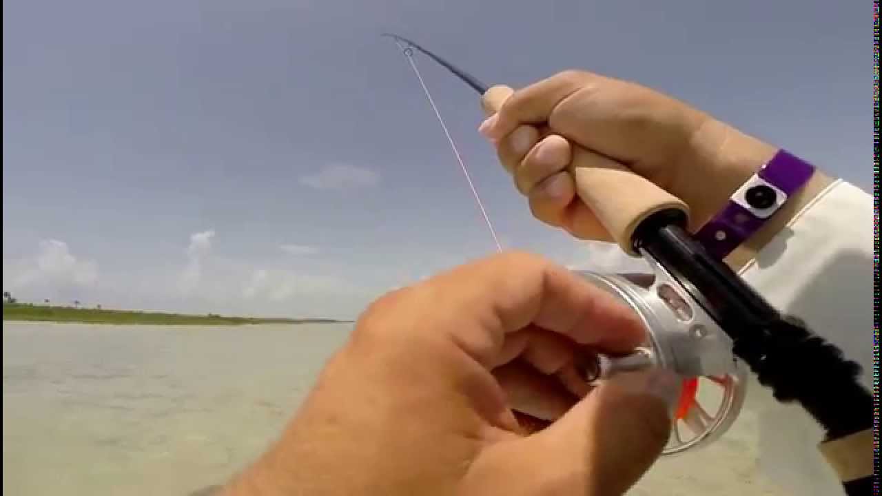 bonefish mexico 2014 - YouTube