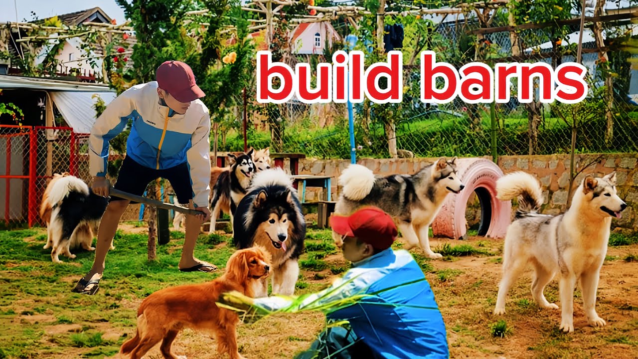 90 days to build a barn to raise animals, part 1 - YouTube