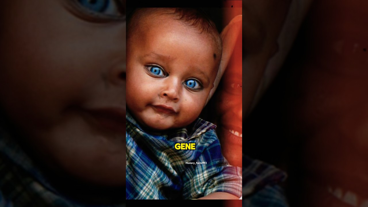 Blue eyes of Melanesian #melanesian #polynesian #historyfacts # ...
