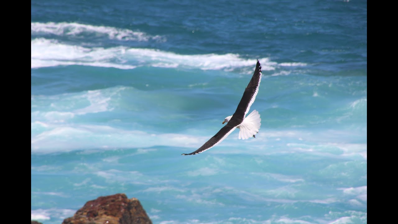 Be - Neil Diamond, Jonathan Livingstone Seagull - YouTube