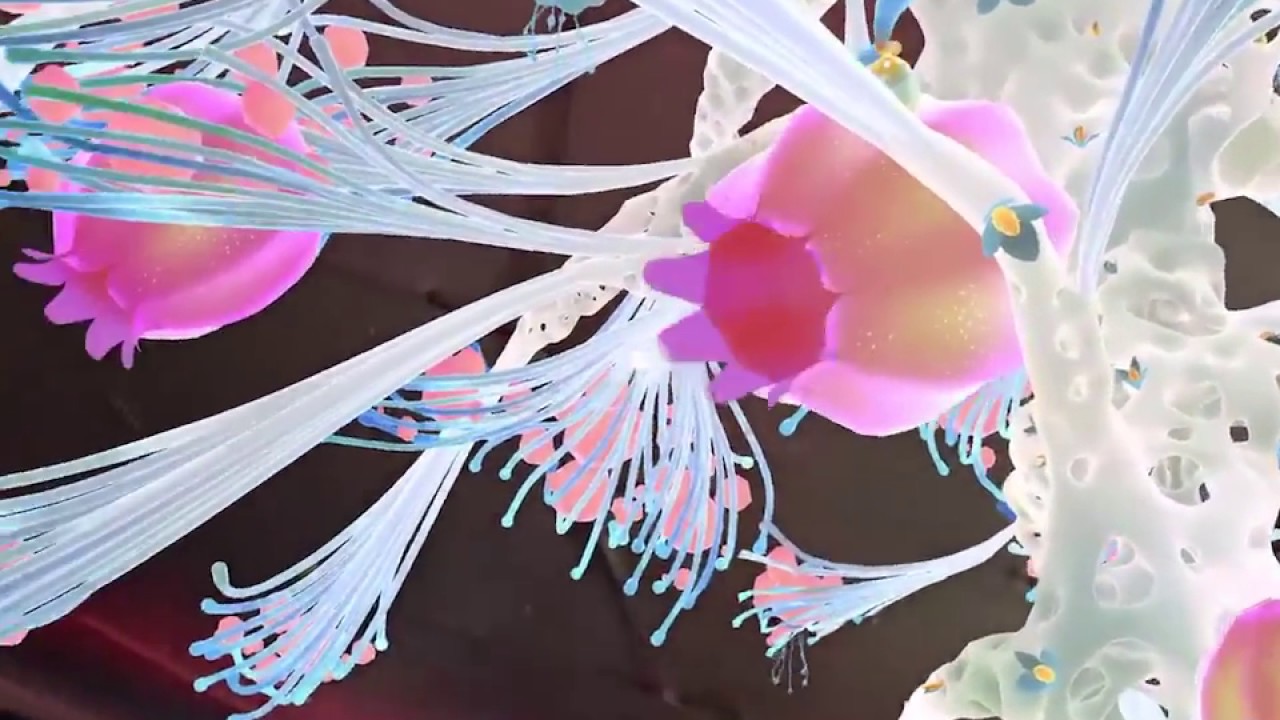 Augmented reality ecosystem for TheCamp (project made with ARKit) - YouTube