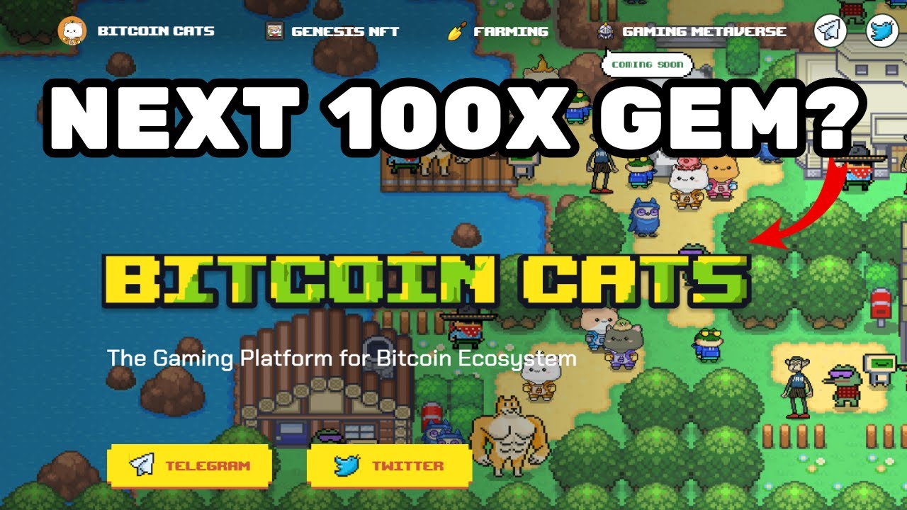 Is Bitcoin Cats The Next 100x Gem | Staking, NFT and Yeild Farming ...