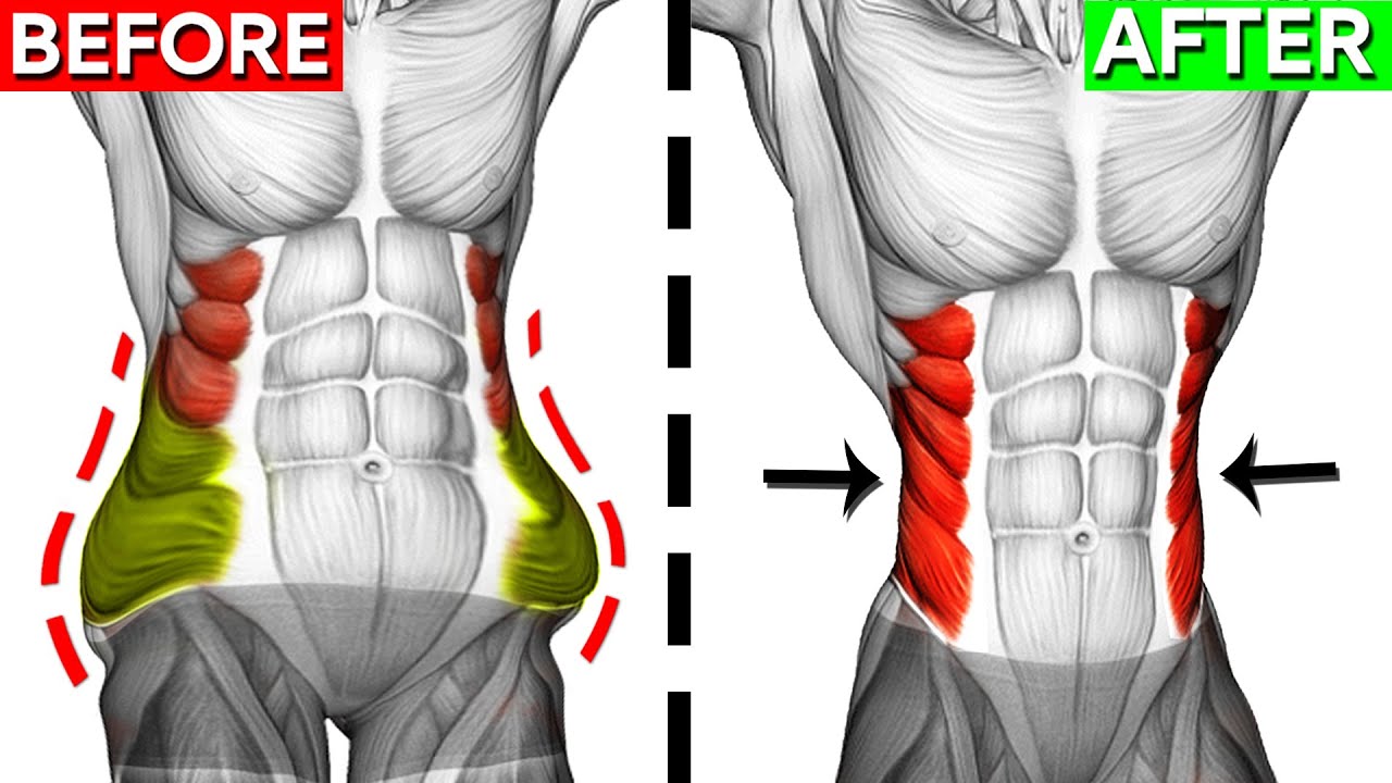 Don't Miss These 9 Perfect Oblique Exercises 🎯 - YouTube