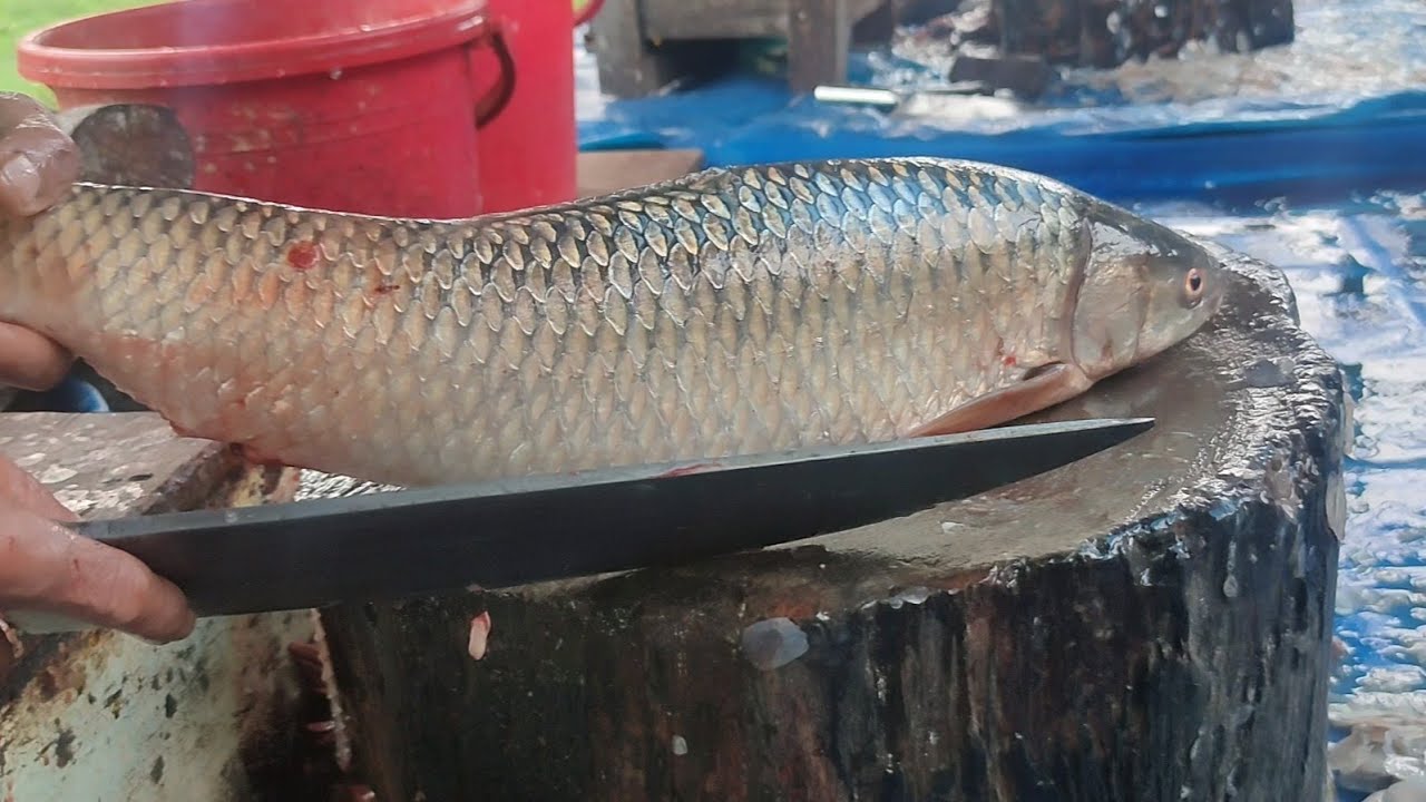 Amazing Mrigal Fish cutting skills video in Bangladesh Market || এত বড় ...