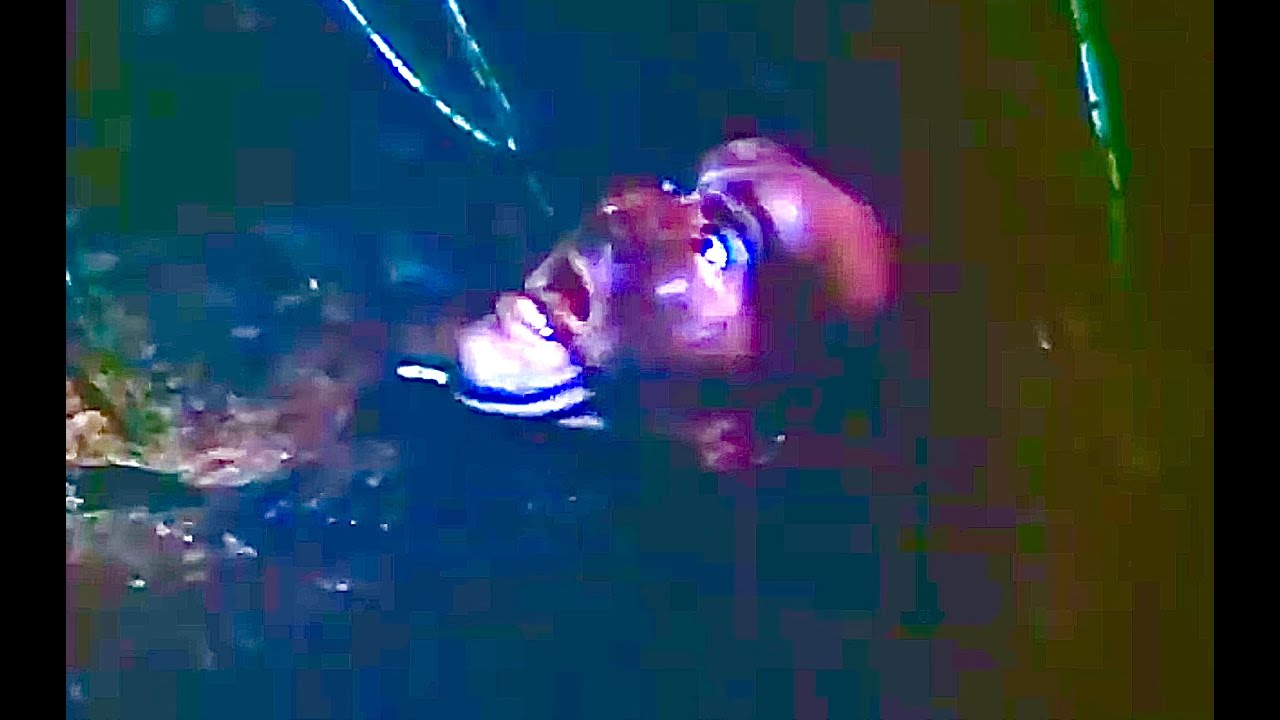 The Quicksand Chronicles ~ Death Weekend (1976) Sinking People Videos ...