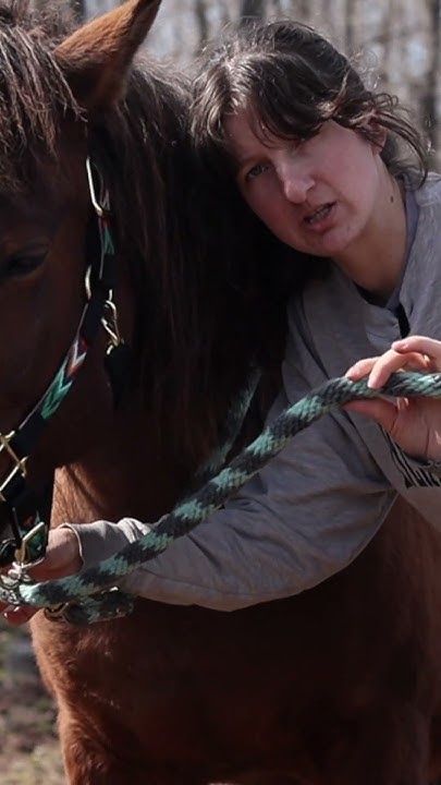 Tying a lead rope into reins with a flat halter! - YouTube