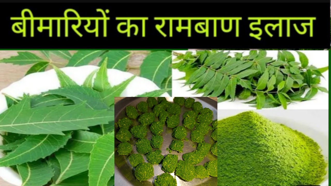Neem Ki Goliya Ghar Me Kaise Banaye||नीम की गोलियां घर में और नीम की ...