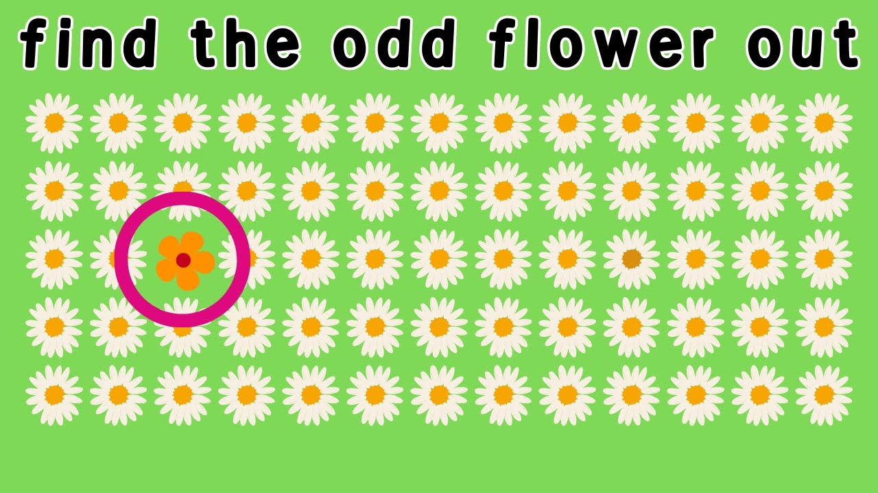 Find The Odd Flower Out | Kids Fun Quiz - YouTube