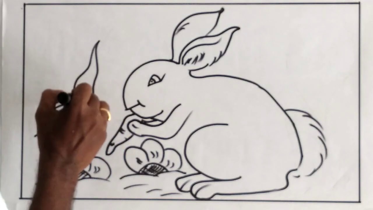 drawing class 7 & 8 - YouTube