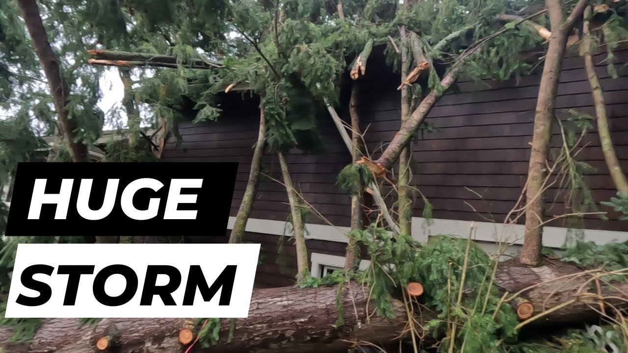 2 HUGE TREES CRUSH HOUSE {PNW STORM 2024} - YouTube