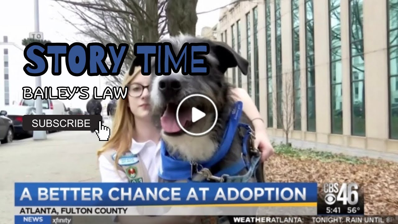 Storytime: Bailey’s Law (2019/2020) - YouTube