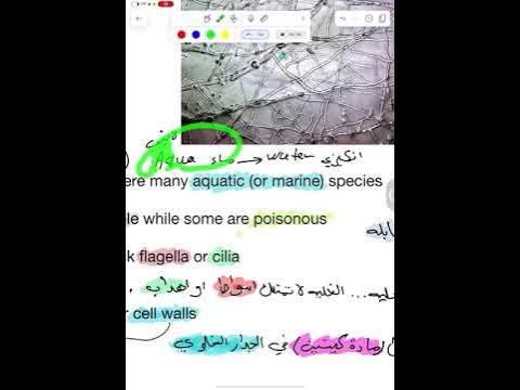 Chapter 4/lecture 1 - YouTube