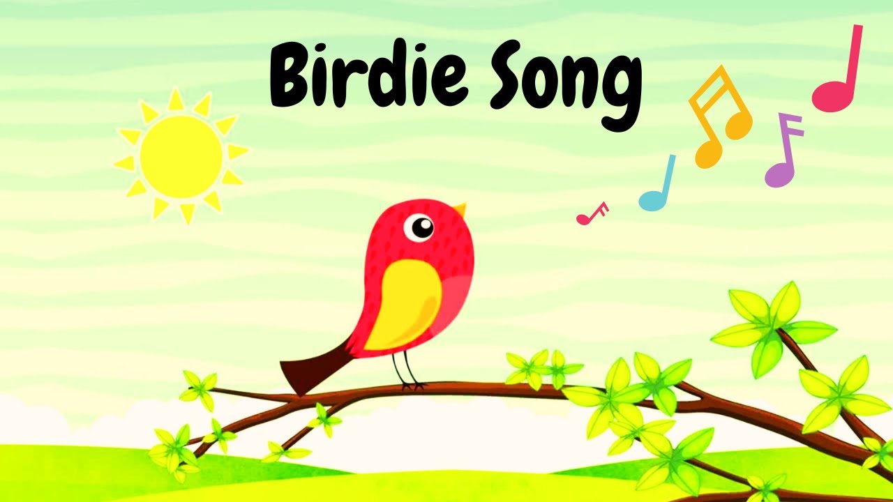 Toddler Song about Birds | Learn about Birds | Children | Playful - YouTube