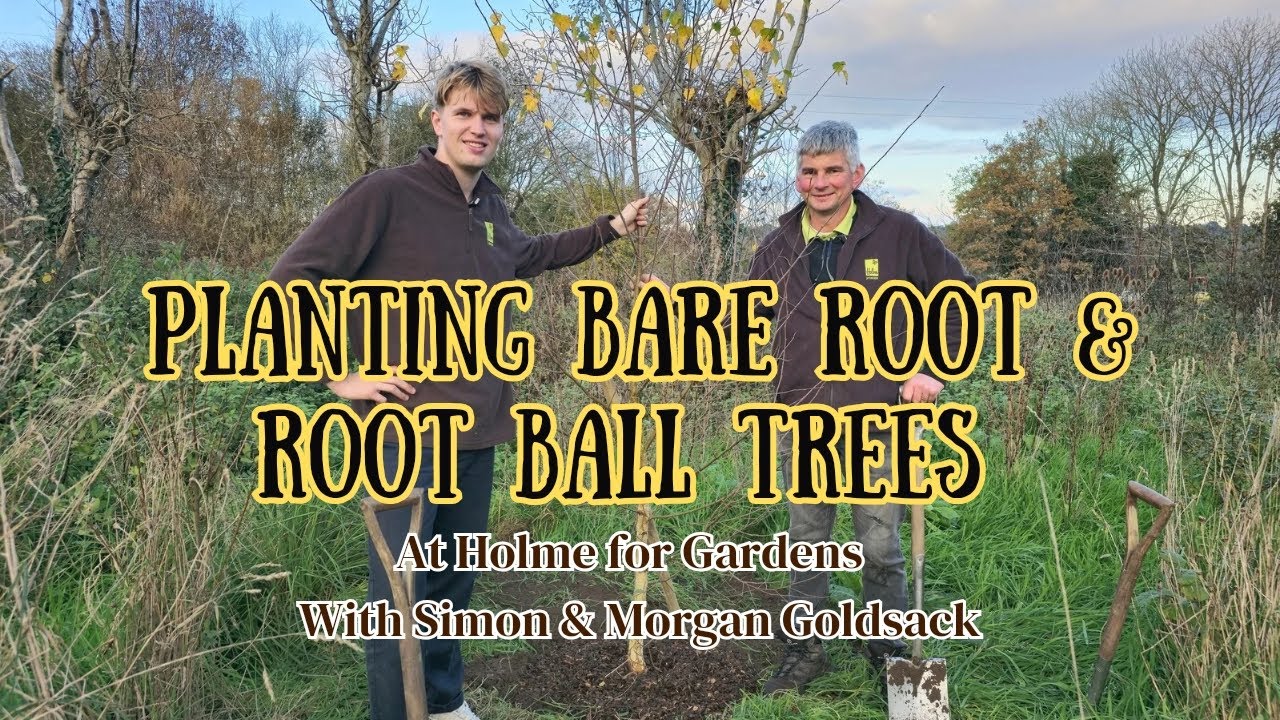 Planting bare root & root ball trees at Holme for gardens with Simon ...