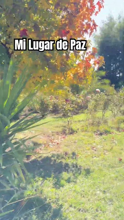 Mi Lugar de Paz - YouTube