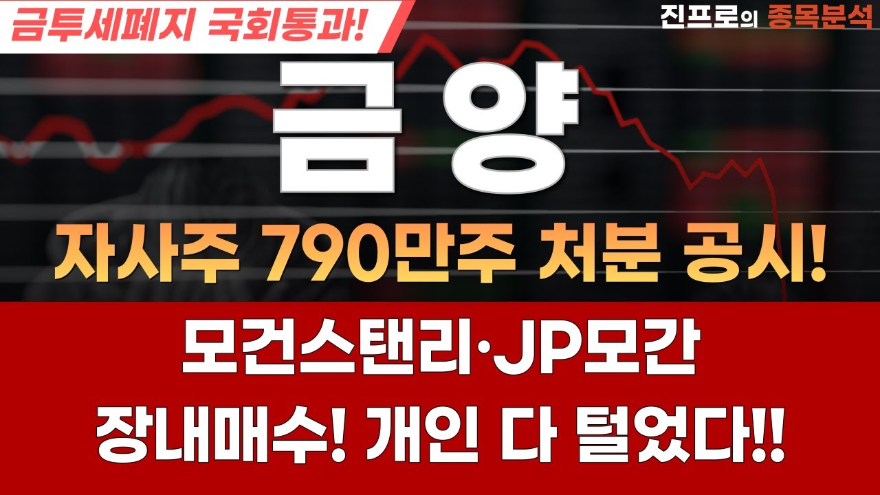 금양 속보 파라인모터스 원통형배터리 1575억 수주 4695배터리 초대형계약 잭팟 금양 금양주가전망 금양매도가 금양리튬광산 대박주 포스코홀딩스 진프로