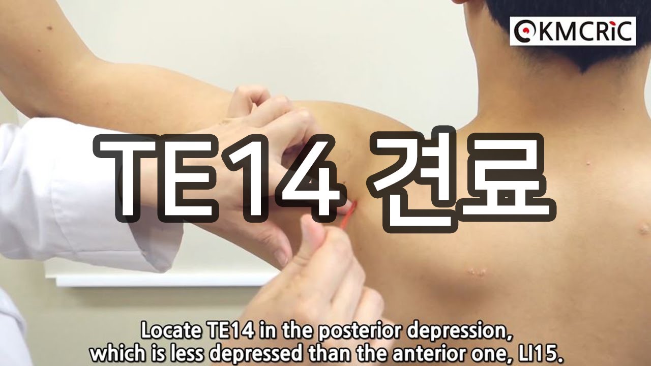 TE14 견료 肩髎 Jiaoliao (Eng sub) - KMCRIC WHO Standard acupoint DB - YouTube