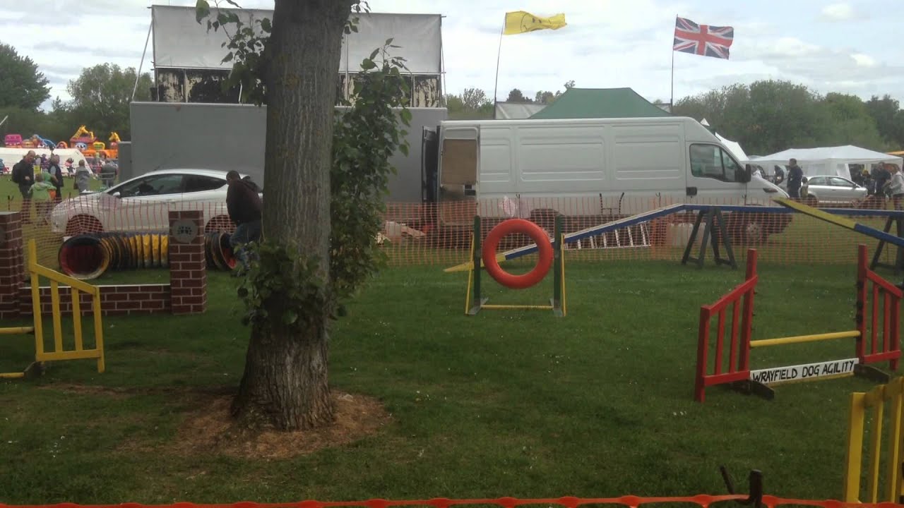 Dog agility fail with Monty - YouTube