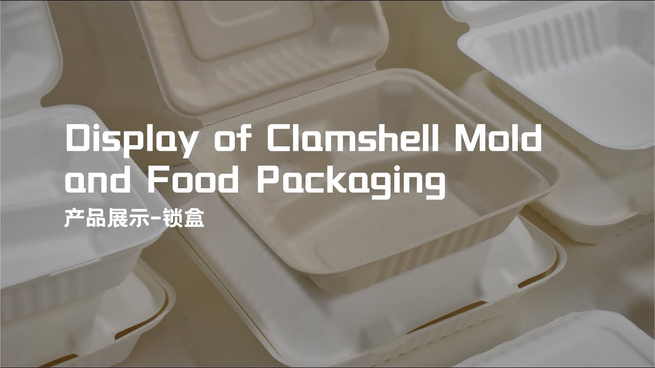 MINJIE | Display of Clamshell Mold and Food Packaging - YouTube