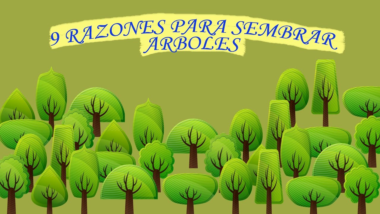 9 Razones Para Sembrar Arboles - Tips Verdes - YouTube