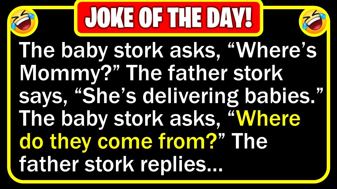 🤣 BEST JOKE OF THE DAY! - A father stork and a baby stork are sitting ...