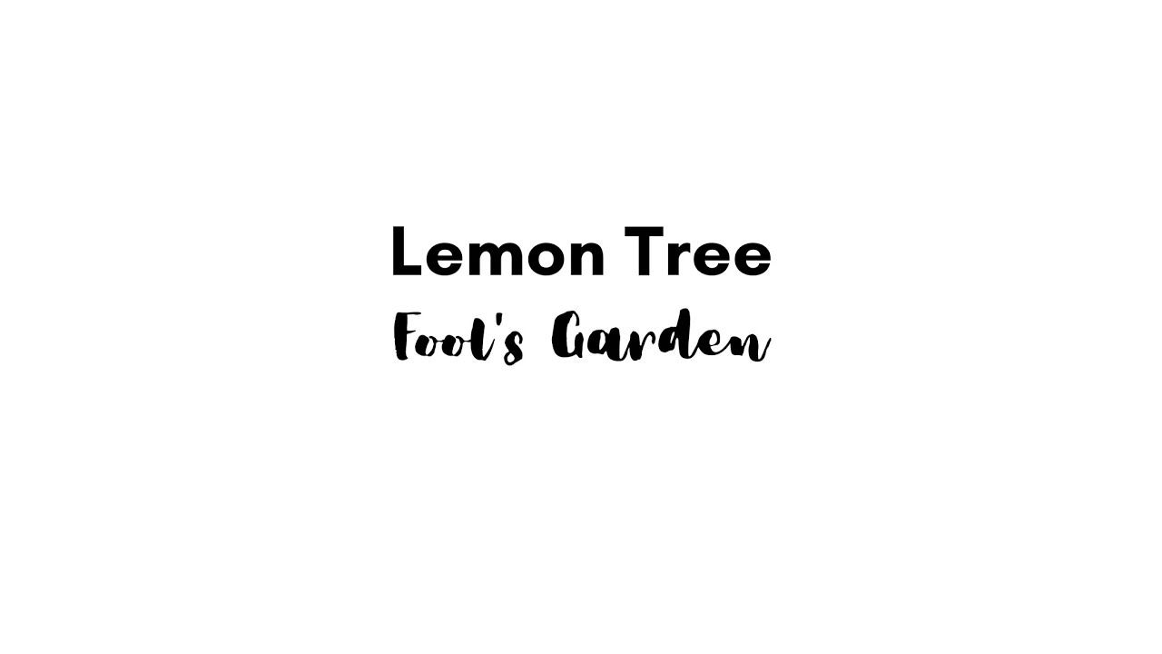 lemon tree - fool's Garden (lirik lagu bahasa inggris mudah dihafal ...