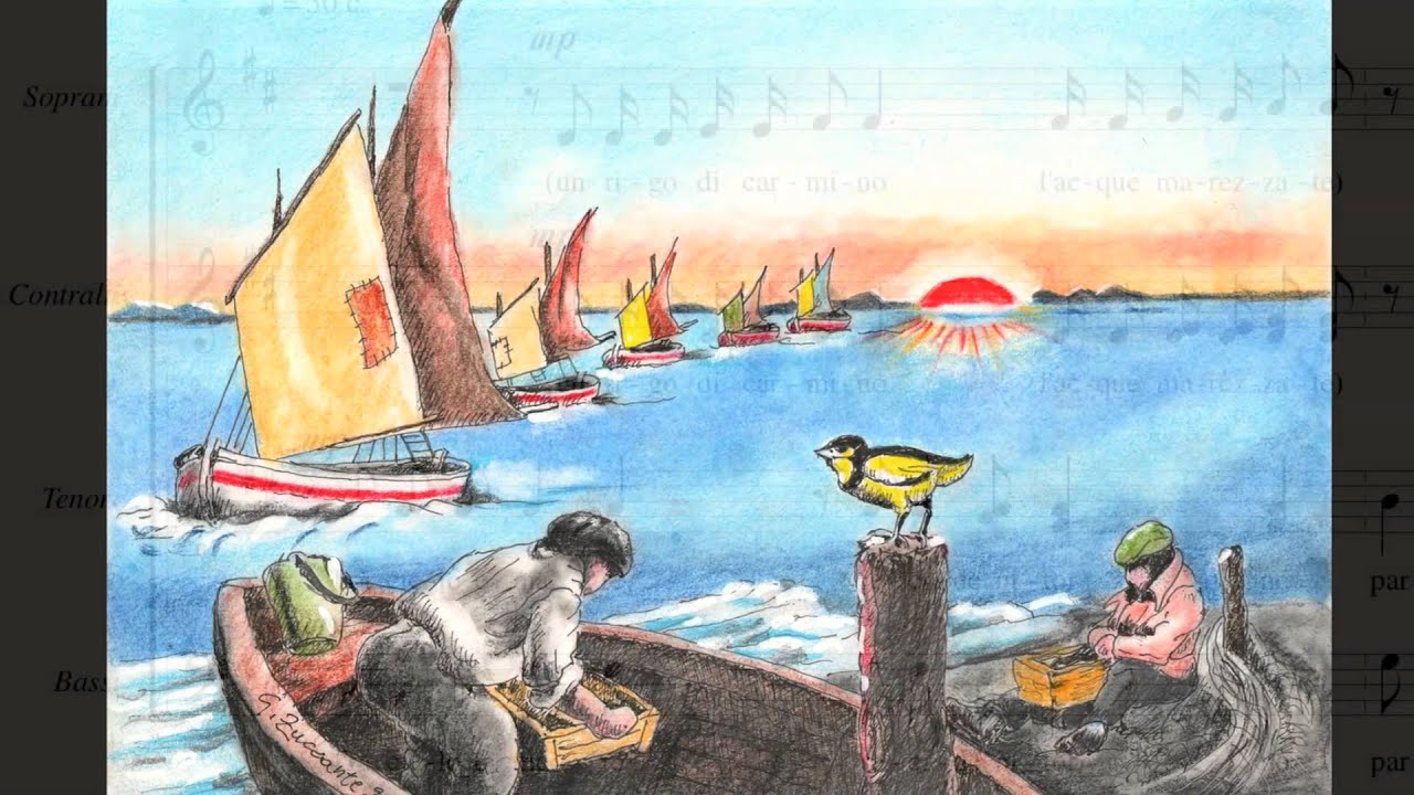 I Puffini Dell Adriatico YouTube i-puffini-dell-adriatico-youtube