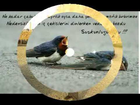 erkan yaman serserimm