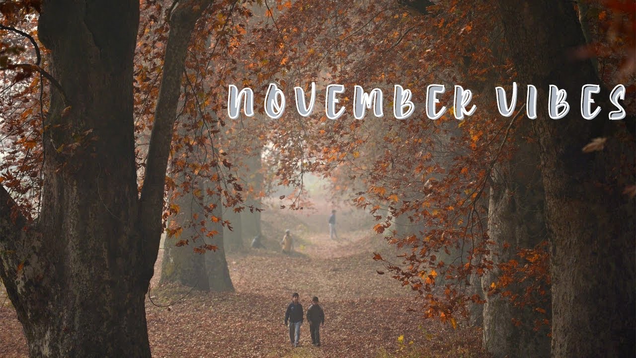 November Vibes | Autumn Fall | Nature cinematic - YouTube