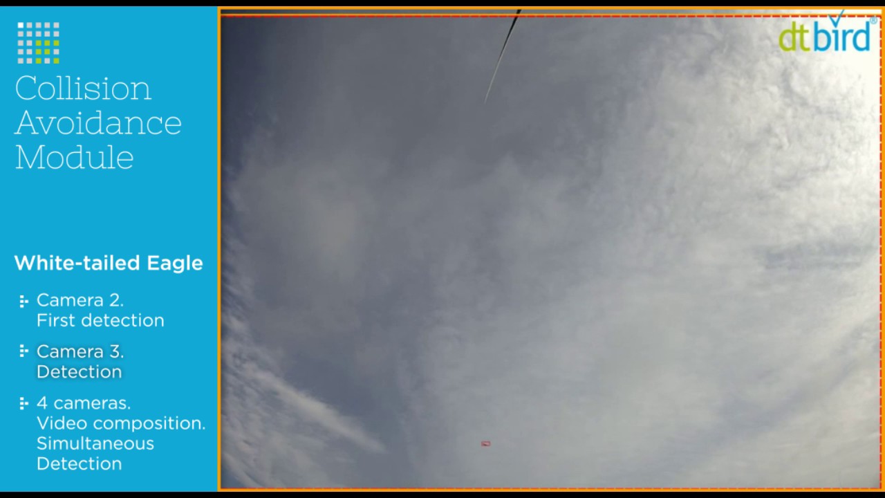 Real-Time Bird Avoidance Behaviour: Protecting White-Tailed Eagles with ...