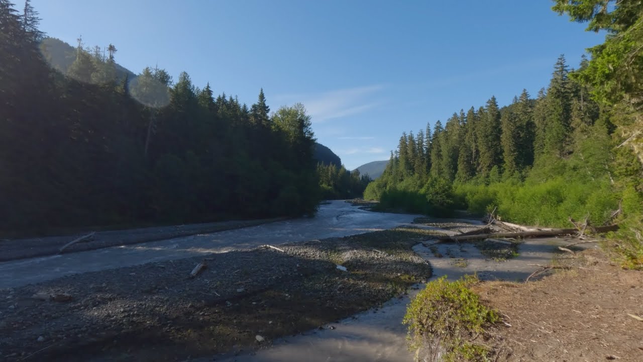 POV Forest Walk in Skookum Flats | Morning Sunlight & River Sounds | No ...