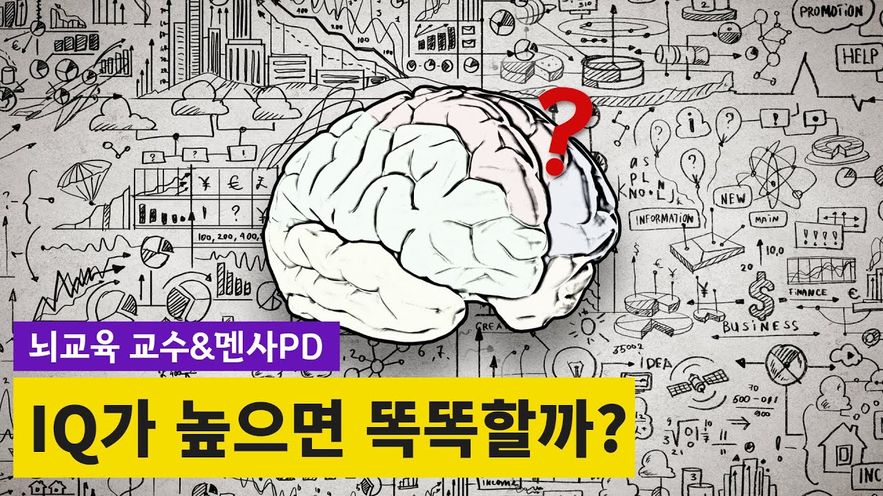 뇌교육학 교수가 추천하는 단 하나의 두뇌훈련법💥 With 뇌교육융합학과 장래혁 교수and멘사pd 이고은 Youtube