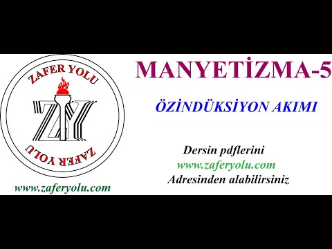 ÖZİNDÜKSİYON AKIMI