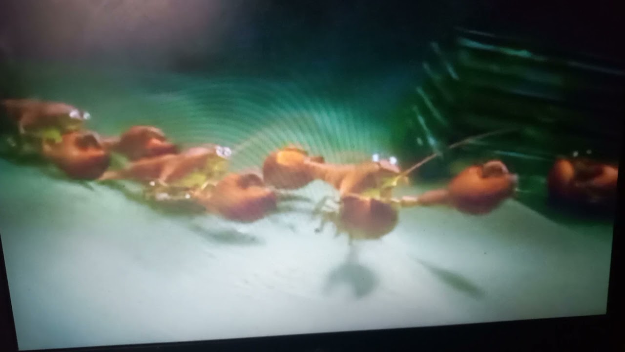 finding nemo 2003 voice actor Andrew Stanton as lobster and none ...