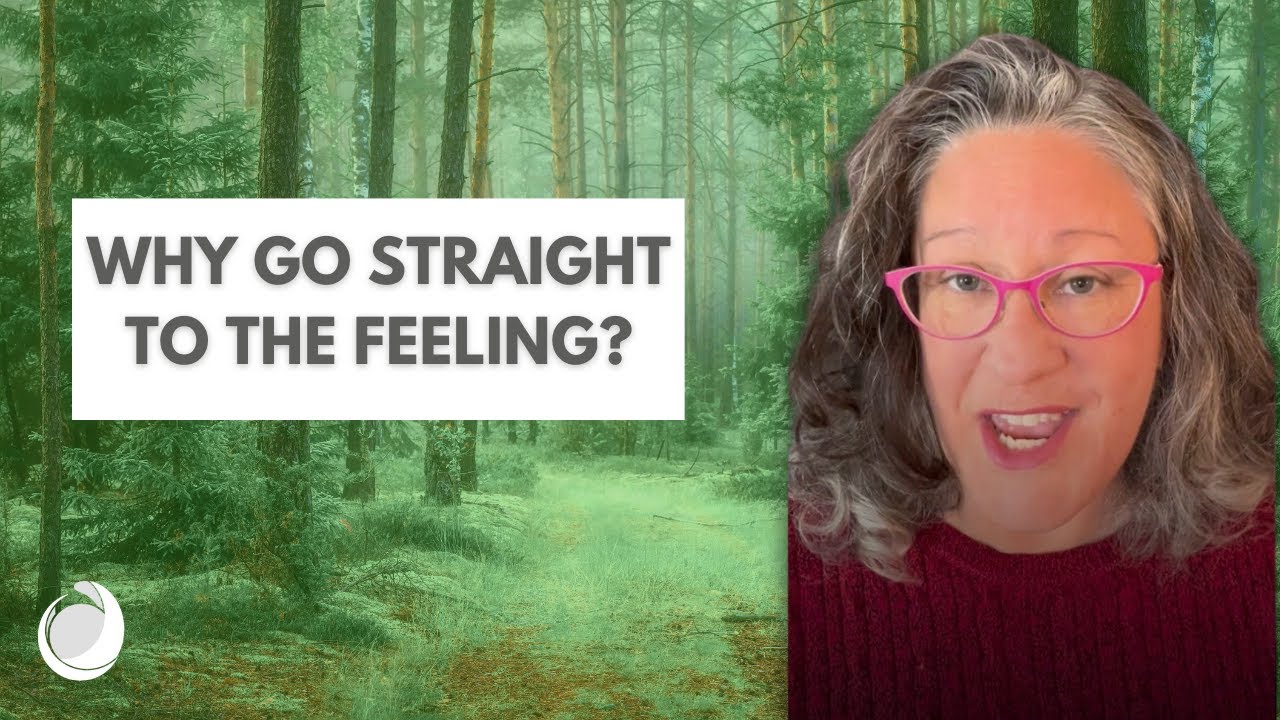 Why Go Straight to the Feeling? The Emotional Truth Behind What We Want ...