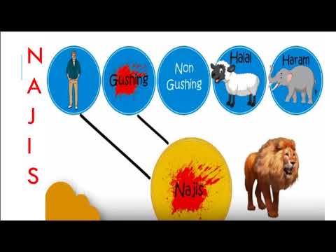 ARKAN AL ISLAM SALAH LESSON 4 - YouTube