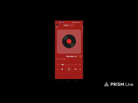 Прямая трансляция ZIMARIK