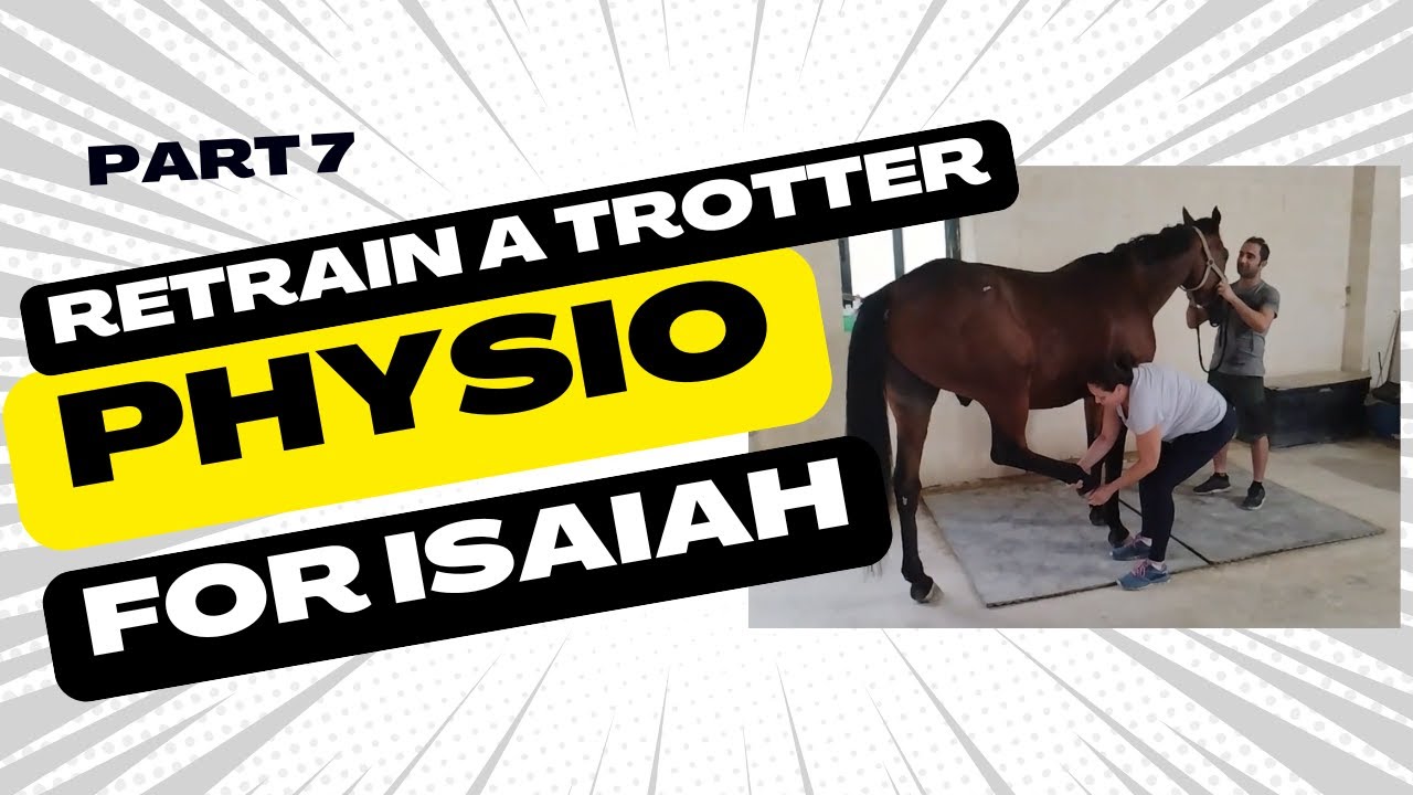 Retrain a trotter, part 7: Physiotherapy for Isaiah - YouTube