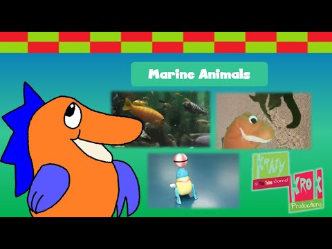 Krazy Krok Productions - Marine Animals (2019) - Sea Creatures and ...
