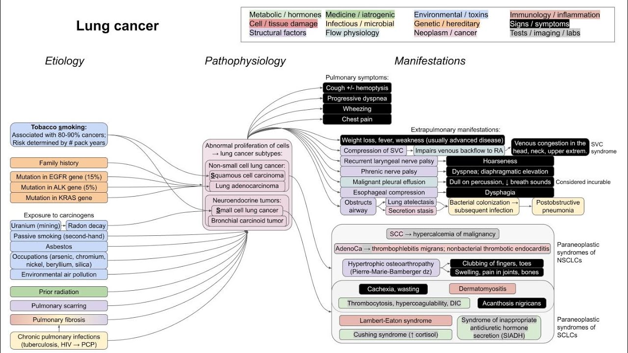 Lung cancer (mechanism of disease) - YouTube