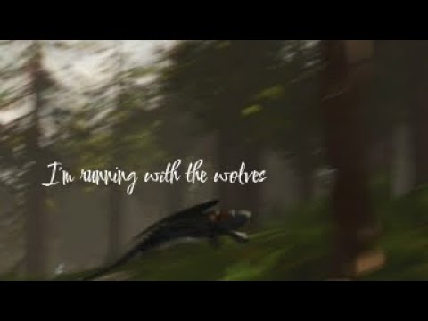 Toothless|Running with the wolves - YouTube