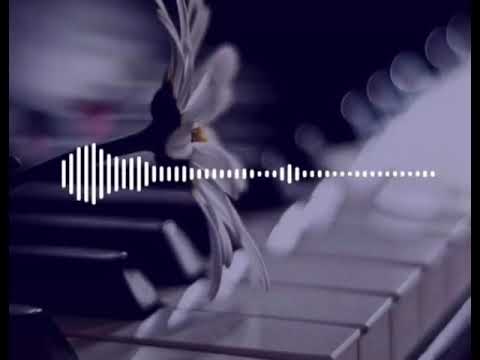 Whatsapp ucun maraqli, MƏNALI statuslar, status ucun videolar, QEMLİ WHATSAPP STATUSLARI 2021 🍃